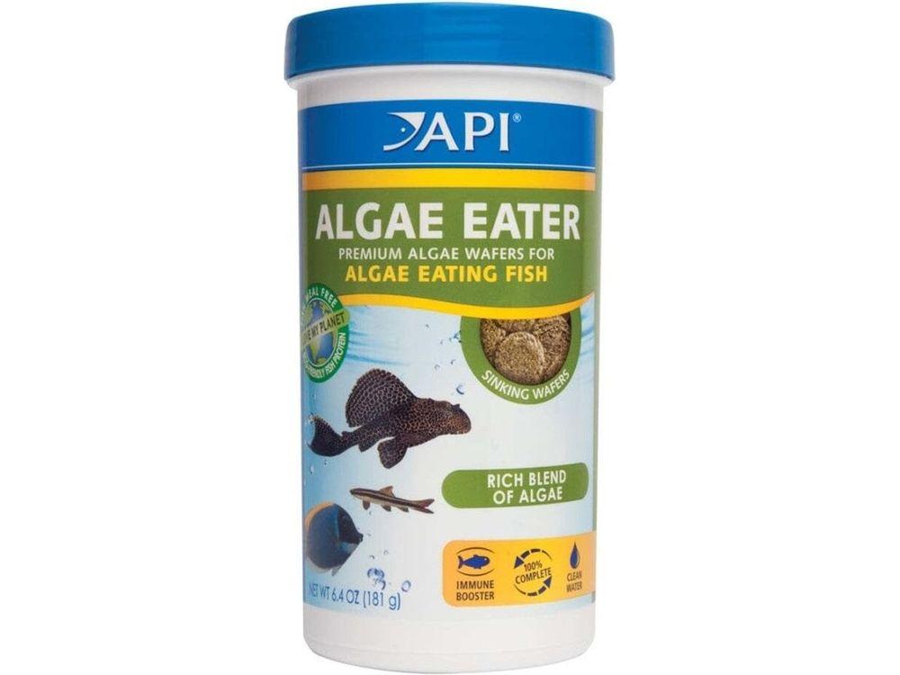 API Algae Eater Premium Sinking Wafer Fish Food, 6.4 oz – Dubia.com