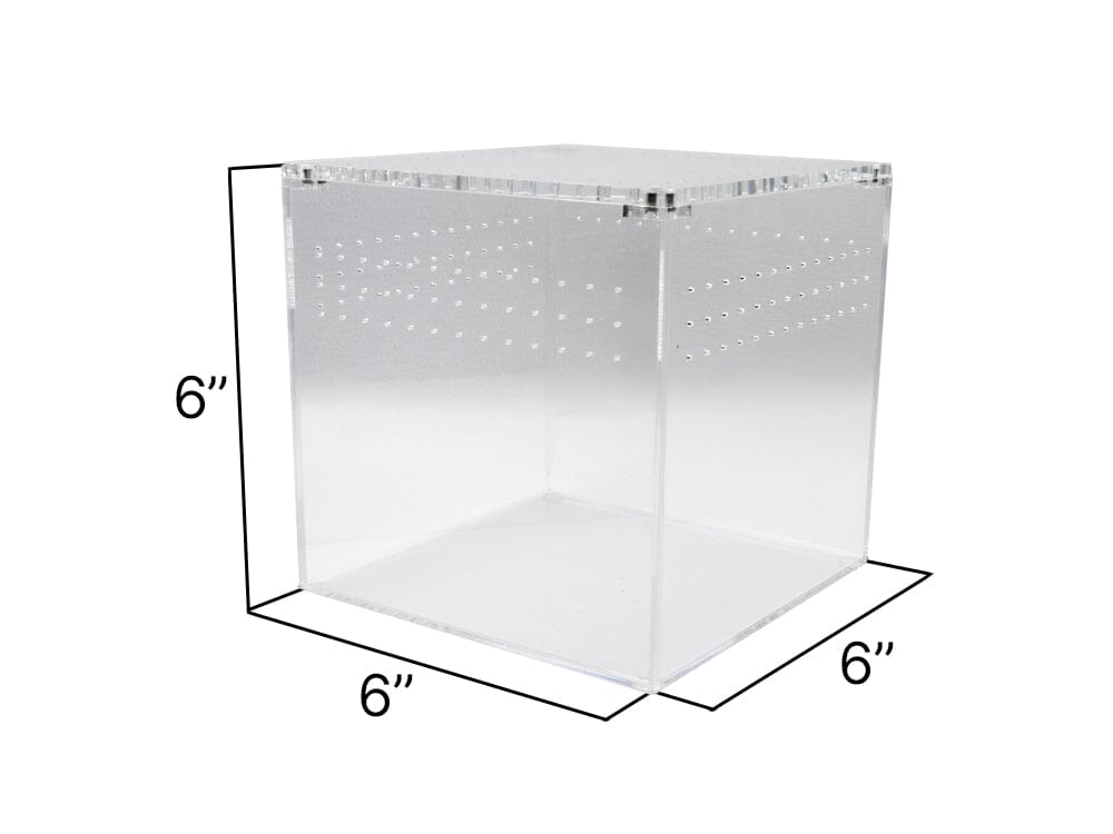 Acrylic Enclosure 6x6x6 – Dubia.com