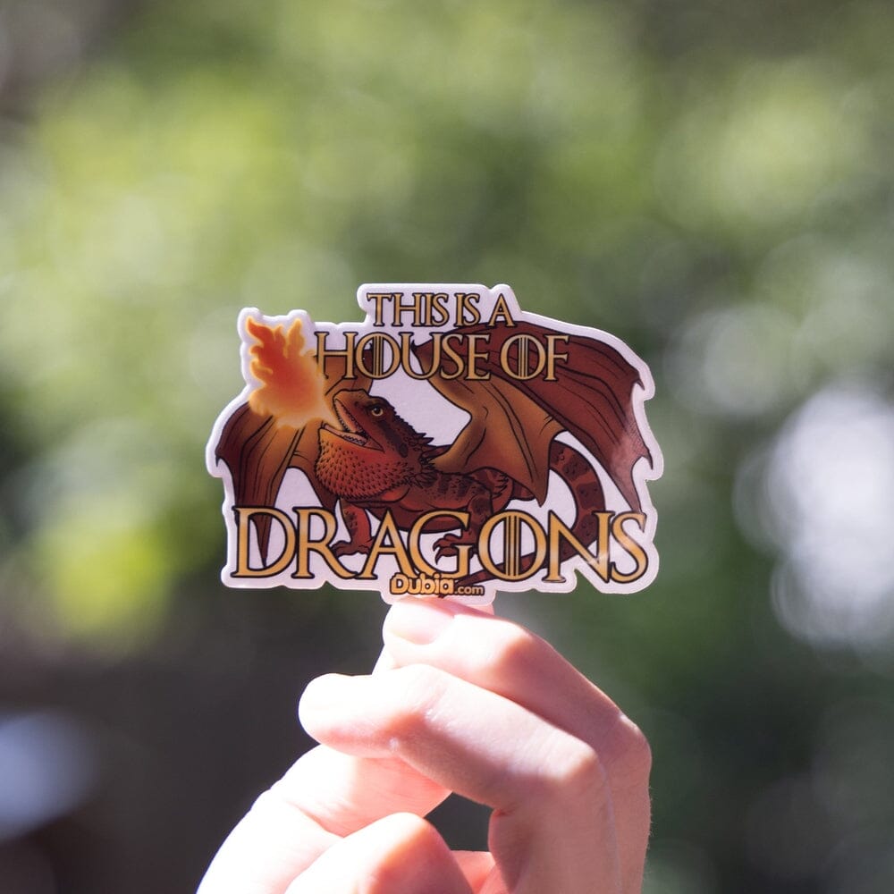 Dungeons & Dubia | Dubia.com