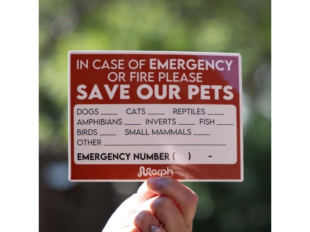 In Case of Emergency Sticker – Dubia.com
