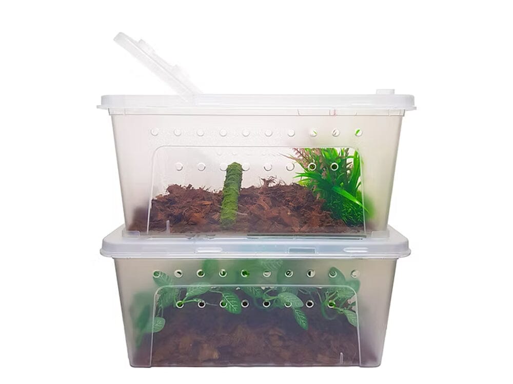 Herpcult Large Breeding Box – Dubia.com