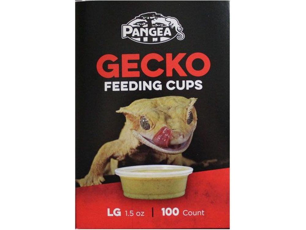 Pangea Large Gecko Feeding Cups - 100ct | Dubia.com