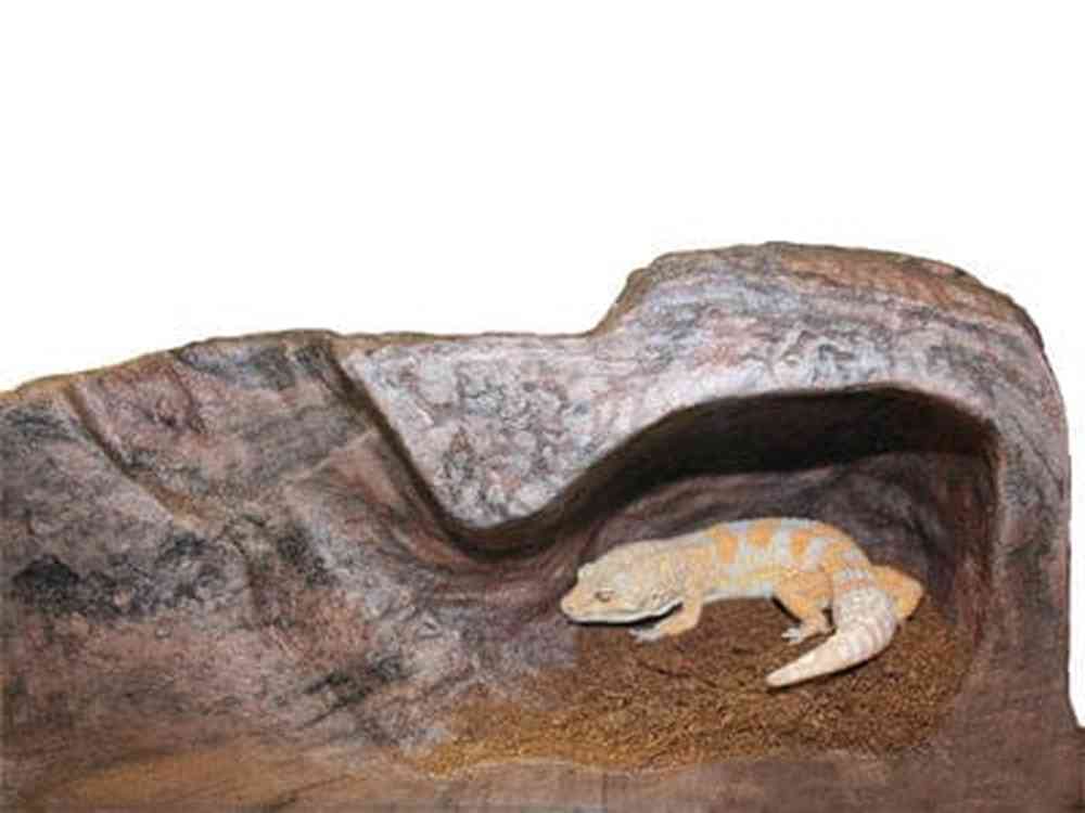 Magnaturals Lg Burrow - Earth – Dubia.com