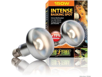 Basking Bulbs - Heat Lamps & Fixtures | “Provide Warmth for Your ...