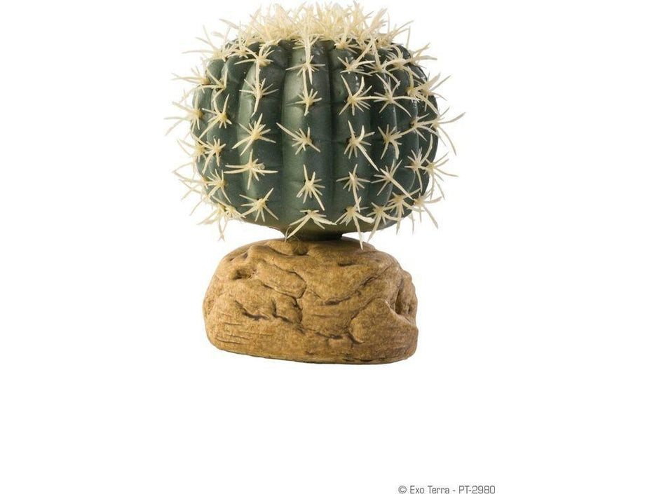 Ground Plants - Natural Habitat Decor | “Add Realism to Your Terrarium ...