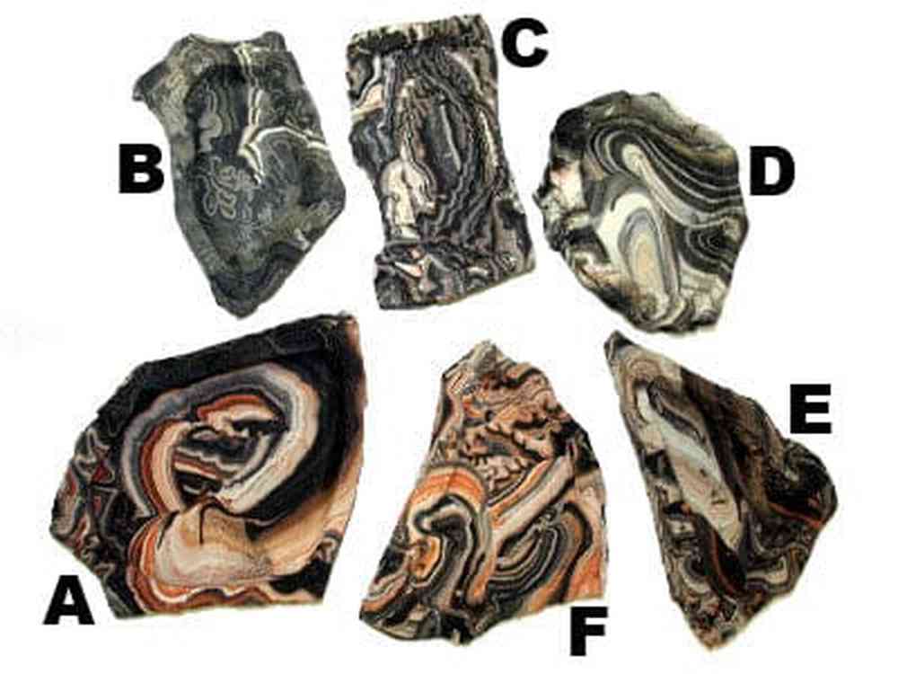 Magnaturals Med Rock Bowl – Dubia.com