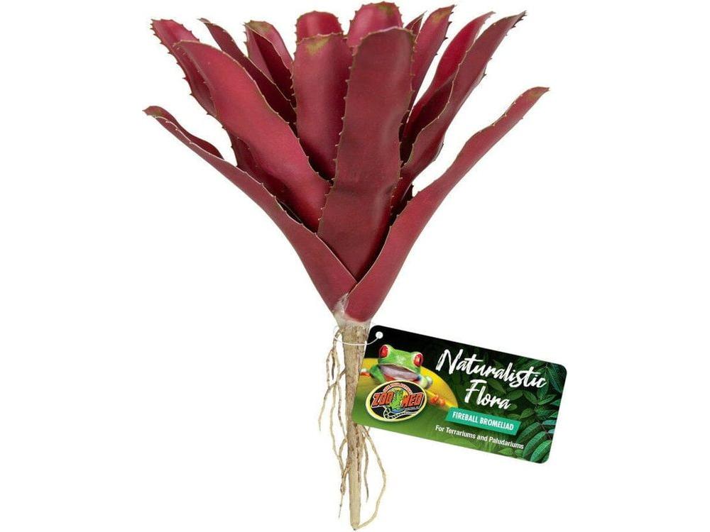 Zoo Med Naturalistic Flora Fireball Bromeliad | “Bright Red Bromeliad ...