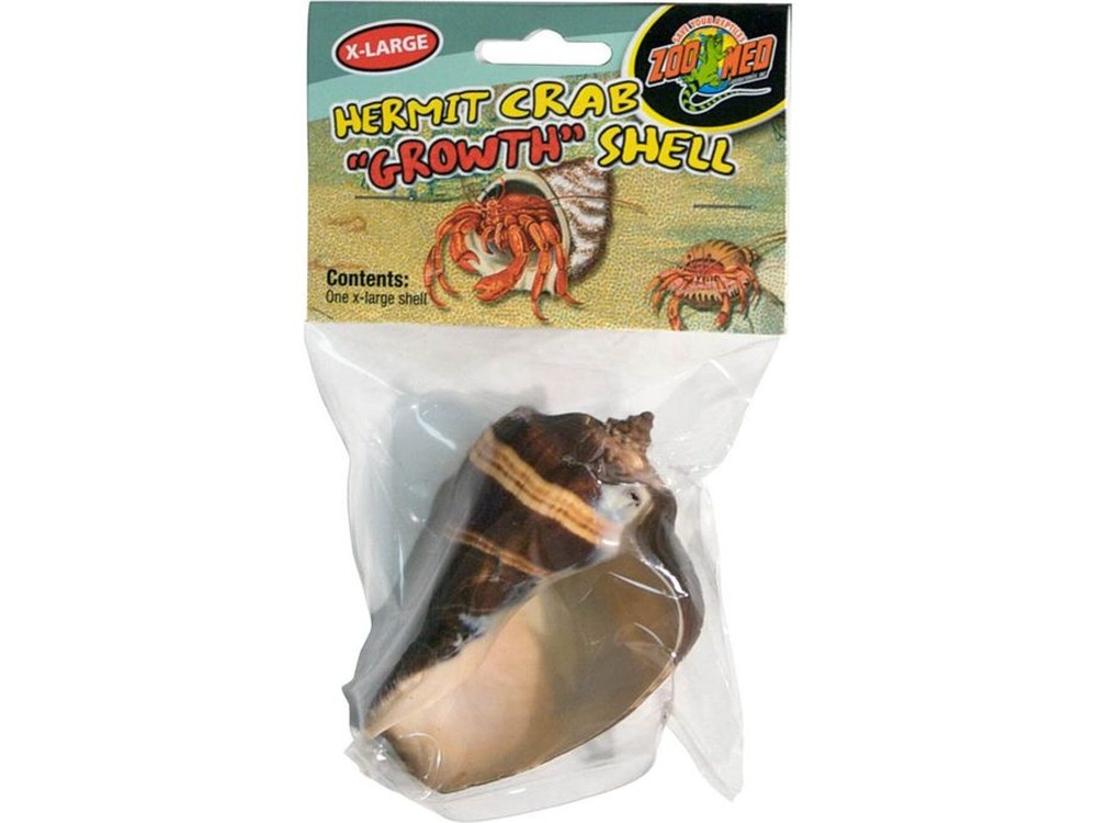 Zoo Med Hermit Crab Growth Shell Assorted XL, 1 Pack | ReptileSupply ...