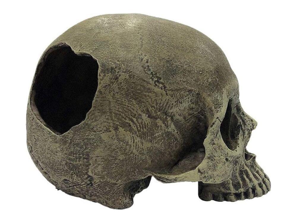 Komodo Half Human Skull Reptile Hideout Gray One Size – Dubia.com