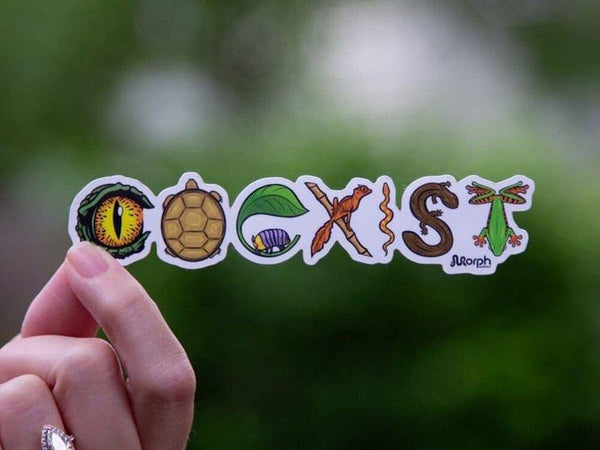 Coexist Sticker (Color) – Dubia.com