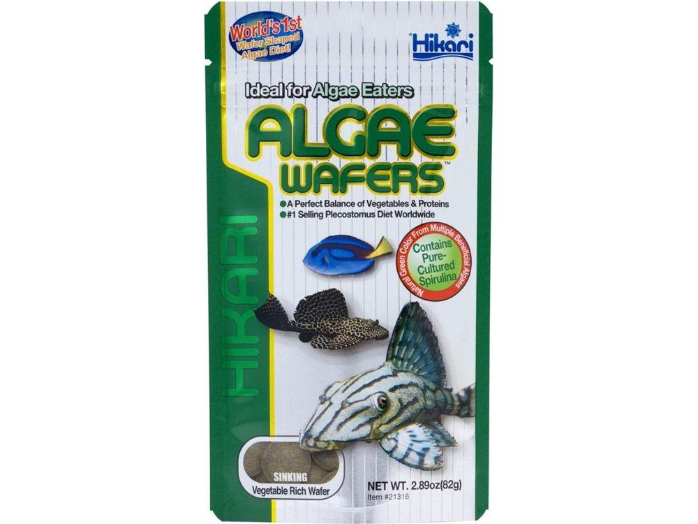 Hikari Algae Wafers Rapidly Sinking Wafer Fish Food 2.89 oz – Dubia.com