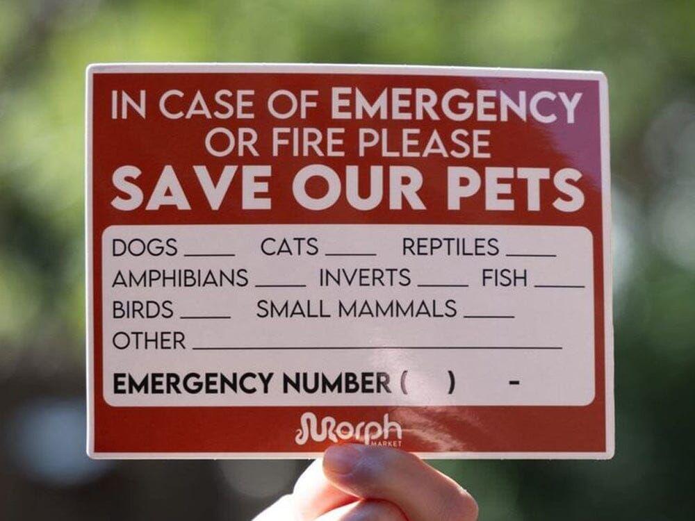 In Case of Emergency Sticker – Dubia.com