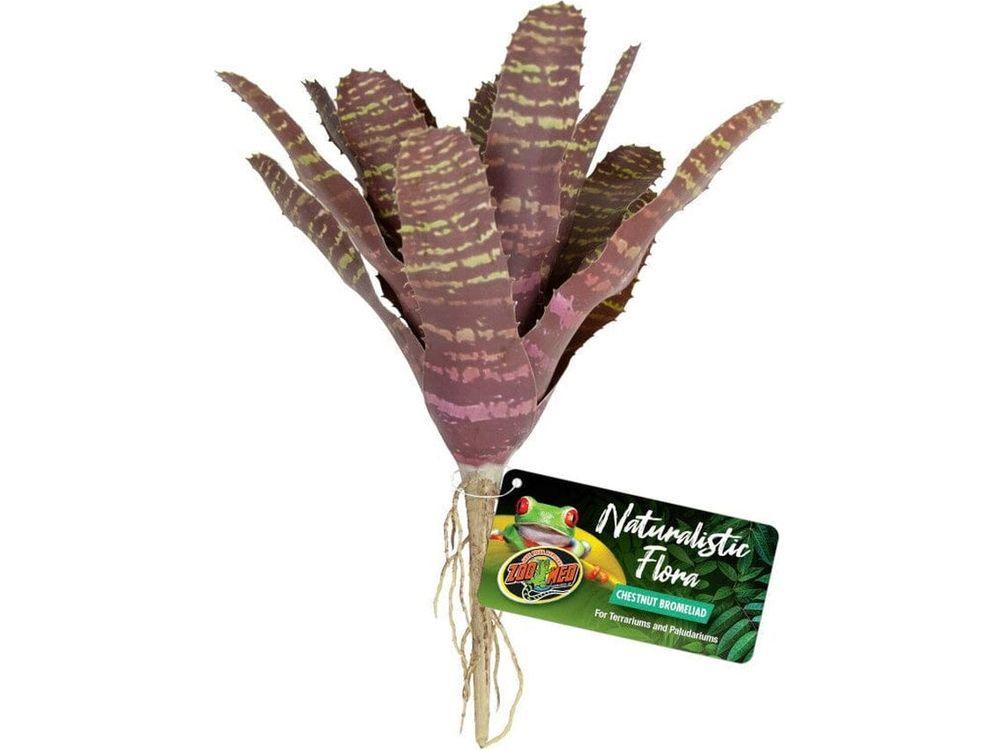 Zoo Med Naturalistic Flora Chestnut Bromeliad Terrarium Plant Purple ...