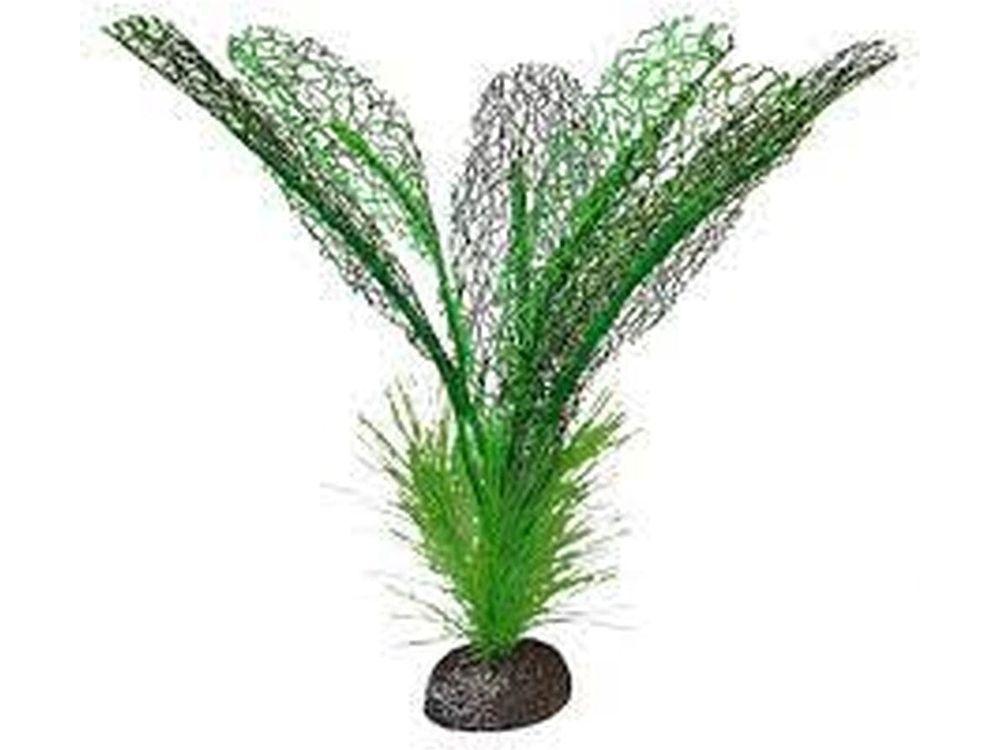 Fluval Betta Premium Plants, Madagascar Lace Plant – Dubia.com