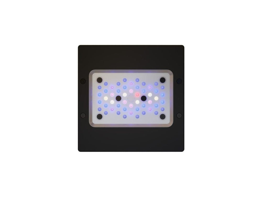 EcoTech Marine Radion XR15 G6 Blue LED Aquarium Light Fixture 1ea/95 W ...