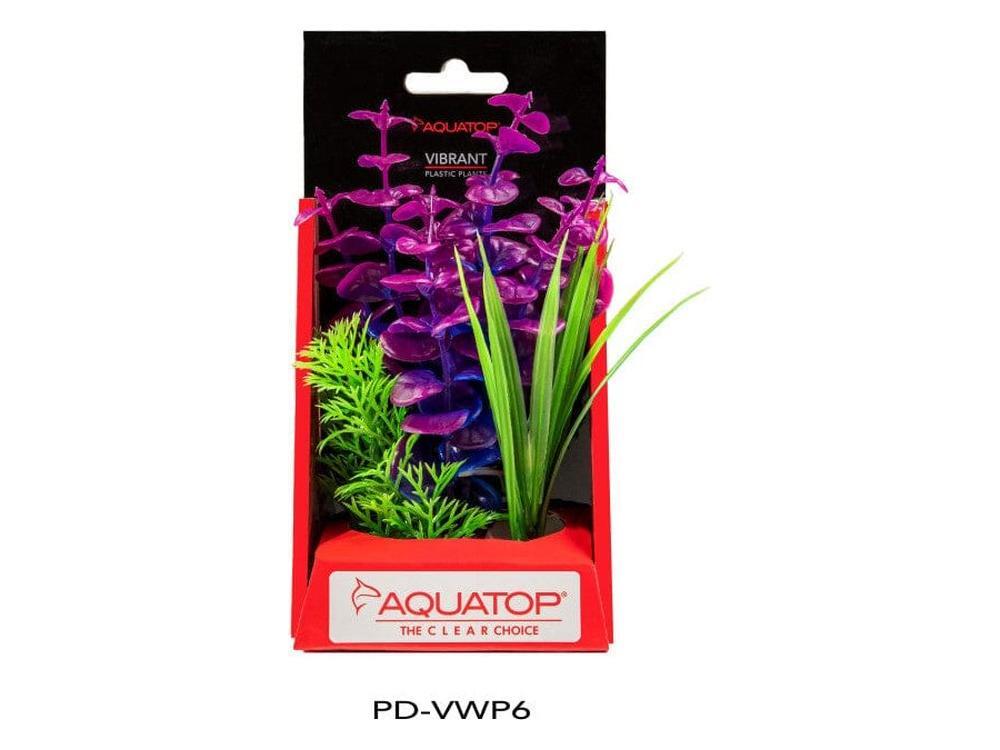 Aquatop Vibrant Wild Plant Purpleberry 6in | “Bright Purple Mini ...