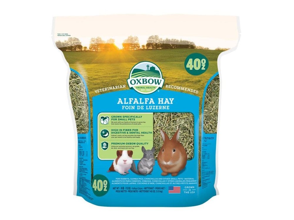 Oxbow Animal Health Alfalfa Hay Small Animal Treat 1ea/40 oz – Dubia.com