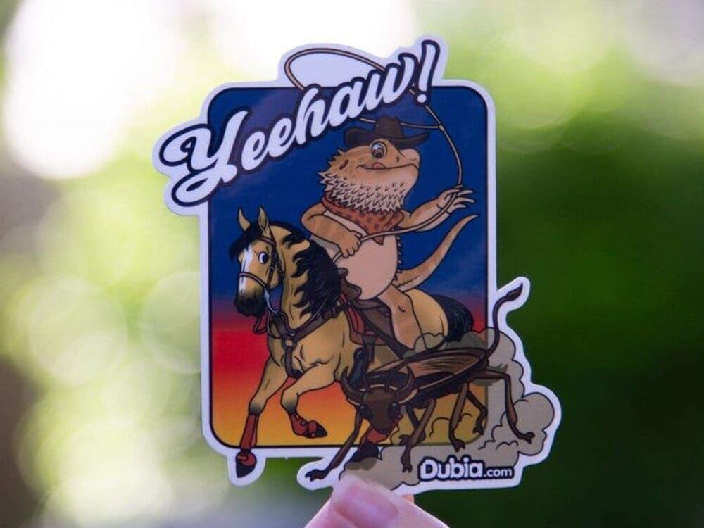 Yeehaw! Sticker – Dubia.com